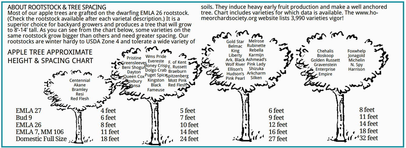 Pine Tree Spacing Chart